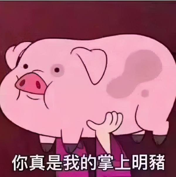 那些关于猪的冷知识你知道几个? 知乎