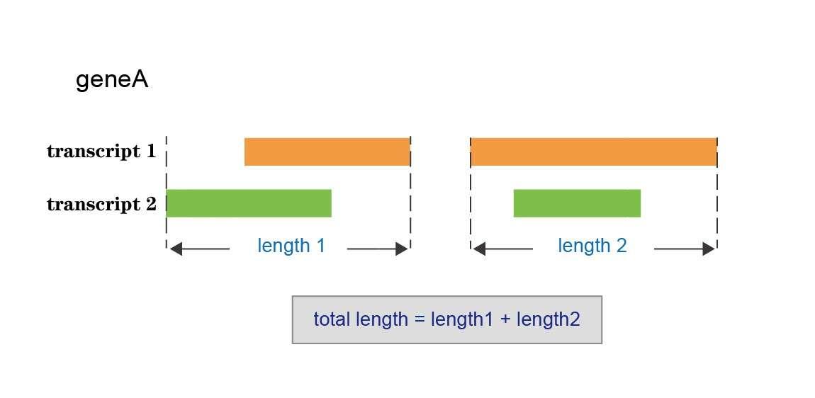 python 学习之 featureCounts 软件的基因长度是怎么算的? - 知乎