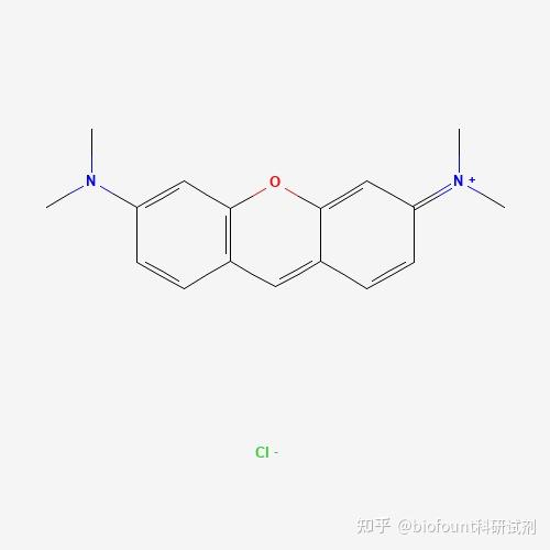 派洛宁Y（派洛宁G）；阳离子染料（RNA） - 知乎