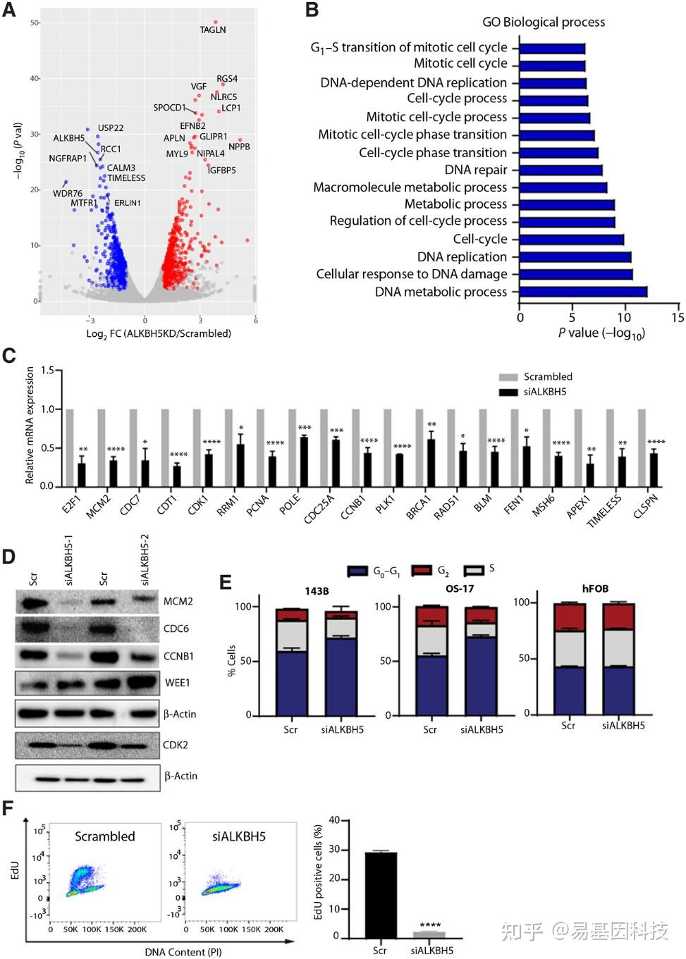 易基因｜MeRIP-seq揭示m6A RNA甲基化通过调控组蛋白泛素化来促进癌症生长和进展：Cancer Res - 深圳市易基因科技 - 博客园