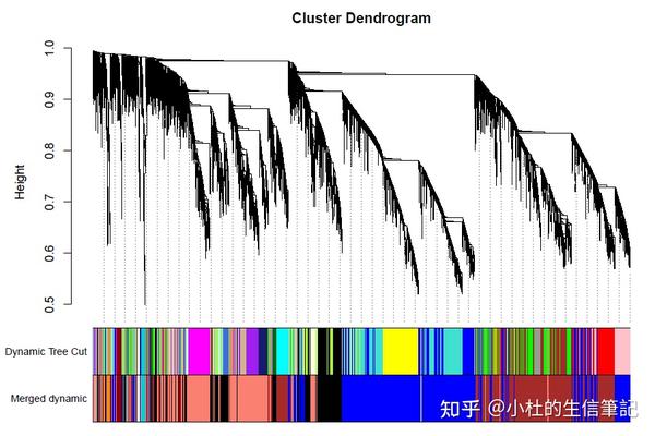 WGCNA分析 | 你的数据结果真的是准确的吗？？ - 知乎