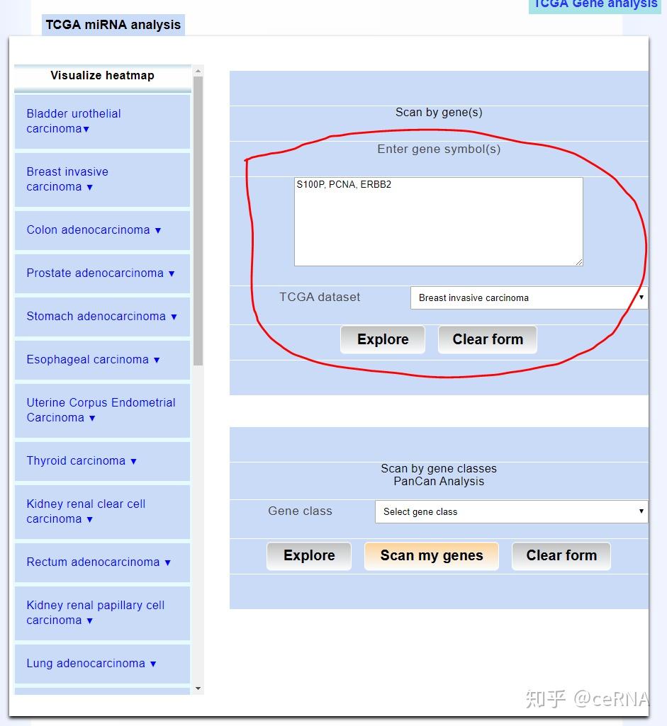 TCGA分析懒人网站推荐 - 知乎