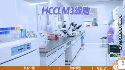 HCCLM3细胞培养，人高转移肝癌细胞培养攻略-丰晖生物 - 知乎