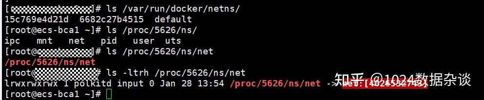 Docker网络命名空间与ip netns - 知乎