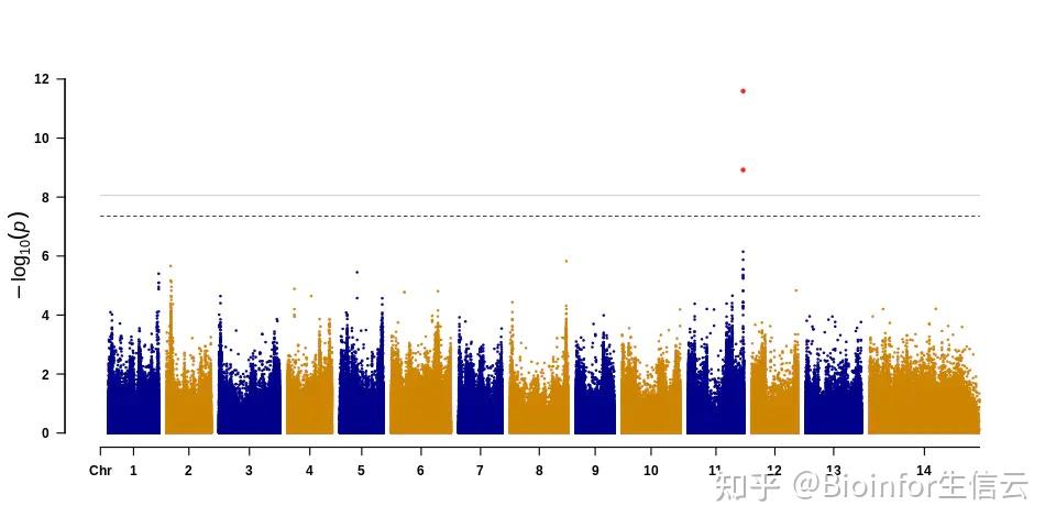 重测序分析（16）GWAS分析实操（2）gwas_emmax_Q - 知乎
