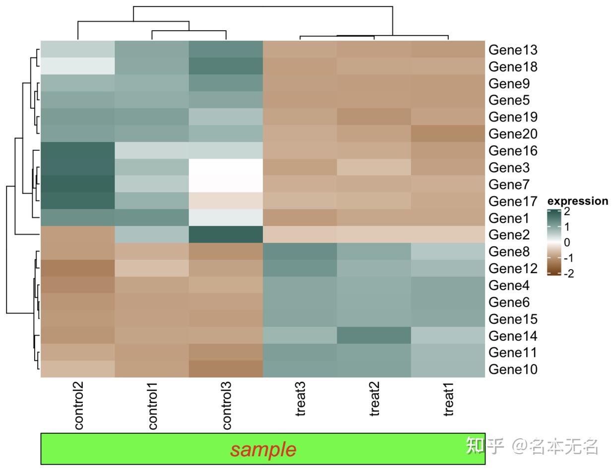 R 数据可视化 —— 聚类热图 ComplexHeatmap(一) - 知乎