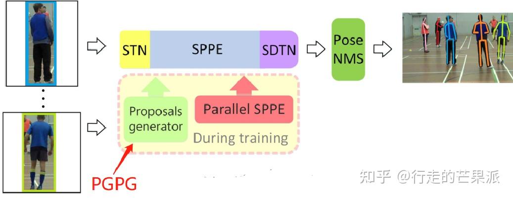 AlphaPose人体关键点检测 - 知乎