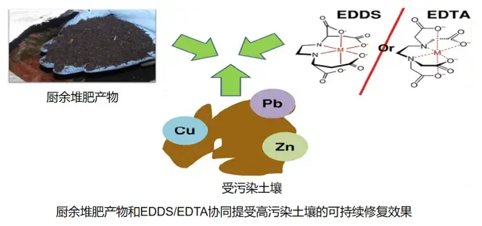 专家分享｜陈能场：堆肥产物的应用—让土壤重新焕发生命力 - 知乎