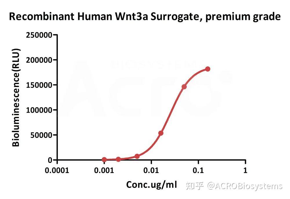 Wnt-3a/Noggin/EGF/RSPO1--类器官培养体系“四巨头” - 知乎