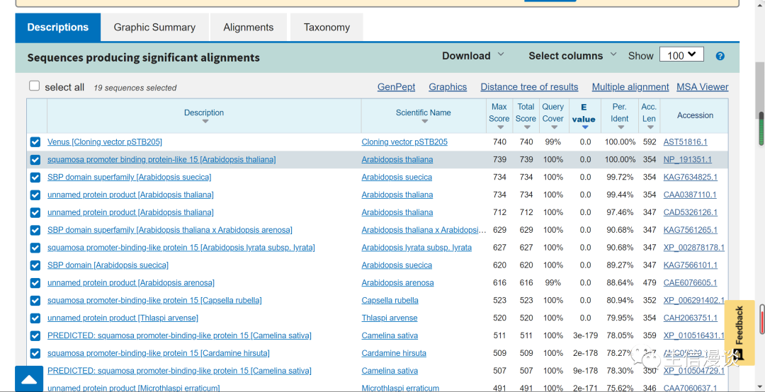 生信小白如何利用MEGA7构建系统进化树 - 知乎