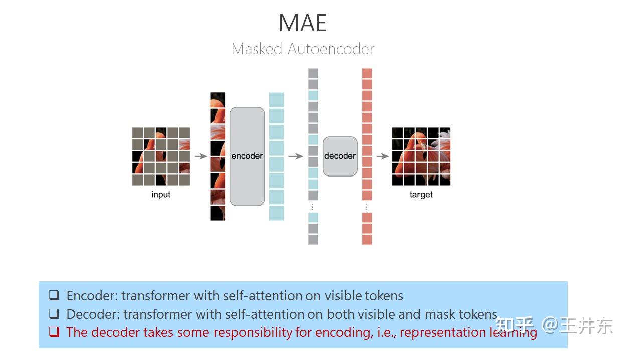 自监督表征预训练之掩码图像建模：CAE 及其与 MAE、BEiT 的联系 - 知乎