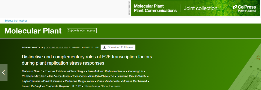 Molecular Plant | ChIP-seq+RNA-seq解析E2F转录因子在植物复制胁迫响应中的独特和互补作用 - 知乎