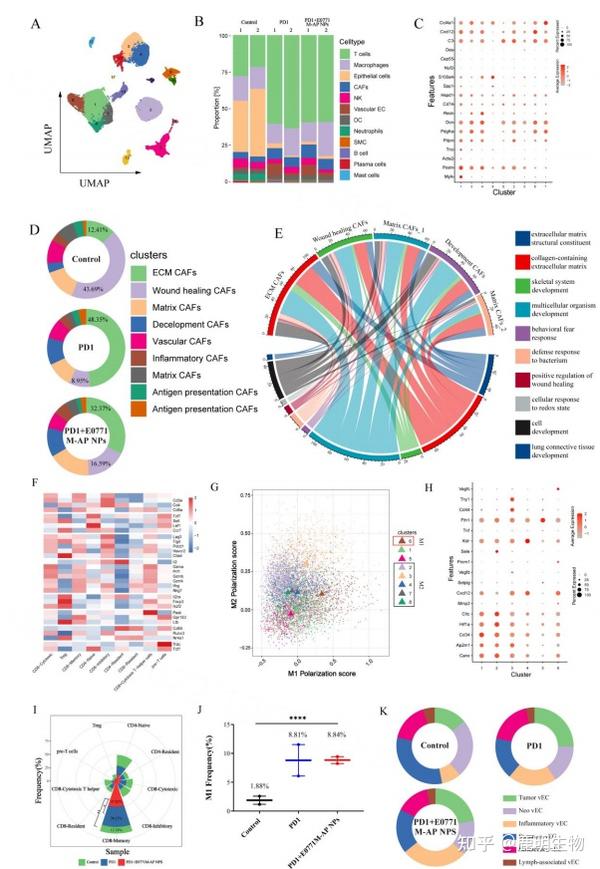 单细胞测序助力探究三阴乳腺肿瘤硬度及抗肿瘤药物药效的影响 - 知乎