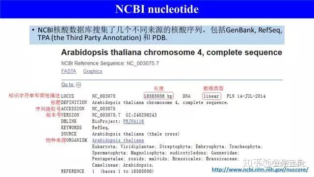 生信软件系列 - NCBI使用 - 知乎