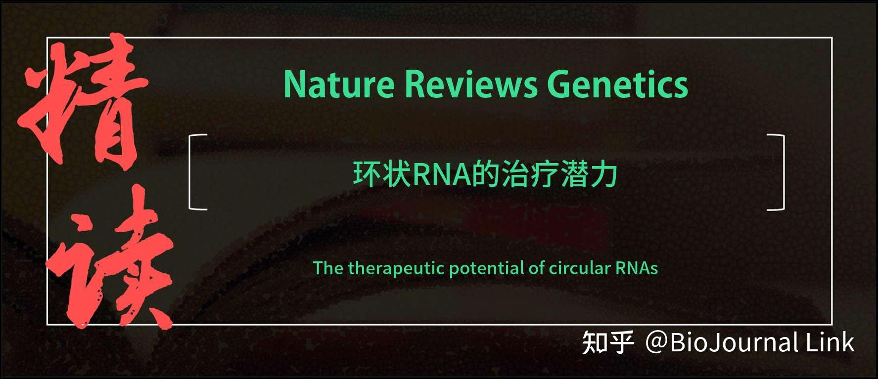 综述 | Nat.Rev.Genet | 环状RNA的治疗潜力 - 知乎