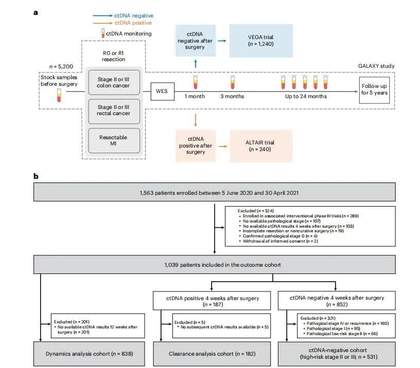 Nat Med | 肿瘤术后ctDNA阳性实现术后风险分层和辅助化疗决策 - 知乎