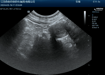 NHP ePPND试验的挑战及应对策略 - 知乎