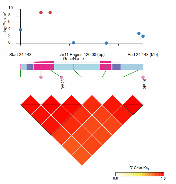 LDblock绘制连锁不平衡和单体型图 - 知乎