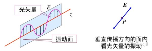 普物光学(光的偏振)知识点总结 - 知乎