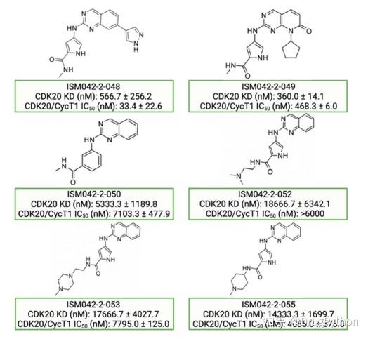 Chem. Sci.|AlphaFold加速了人工智能药物的发现：一种新型CDK20小分子抑制剂 - 知乎