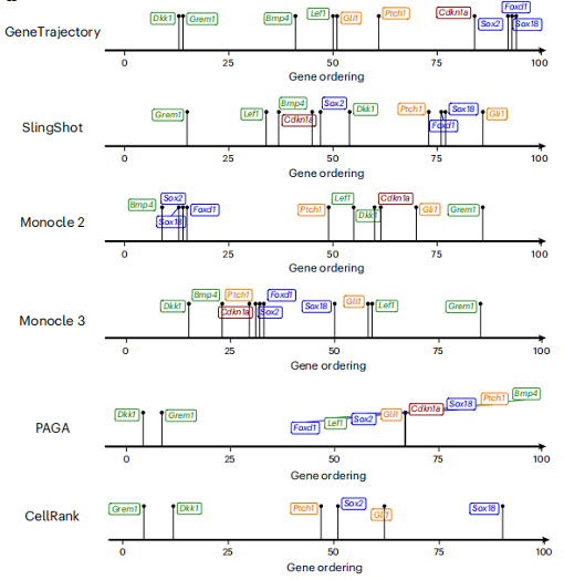 前沿生信服务丨单细胞透视镜：GeneTrajectory揭示基因动态新维度 - 知乎