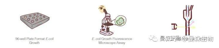 合成生物技术的新基建 | biofoundry(生物铸造厂)——Agile Biofoundry、DAMP Lab - 知乎