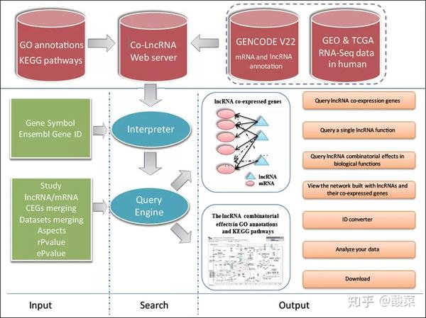 Co-LncRNA：小白一看就懂的lncRNA功能注释数据库 - 知乎