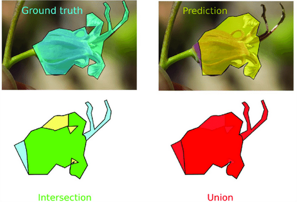 instance segmentation - 知乎