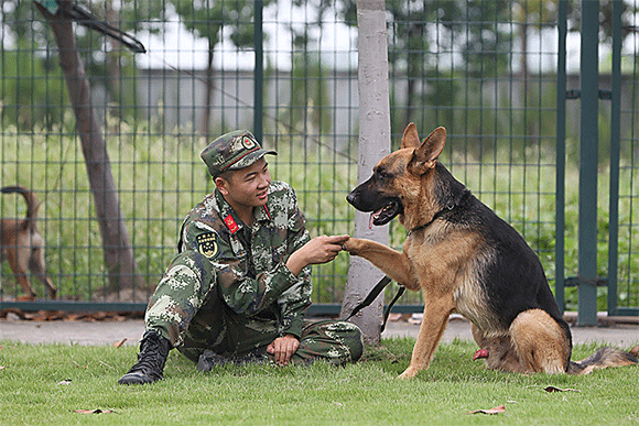 每天1分钟背单词 词根 sent sens - 知乎