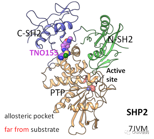 SHP2 • TNO155 • hERG - 知乎