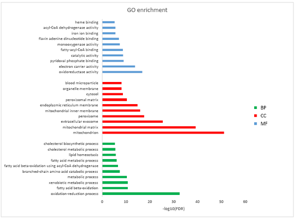 零代码GO富集分析—一张图展示BP,MF,CC - 知乎