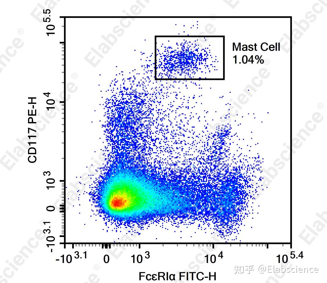 免疫细胞 | 肥大细胞简介及指标选择 - 知乎