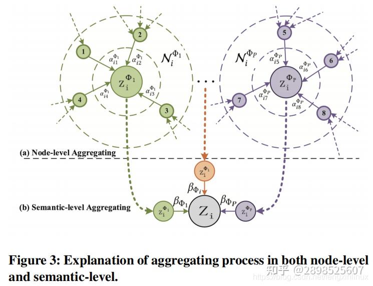 论文精读：Heterogeneous Graph Attention Network - 知乎