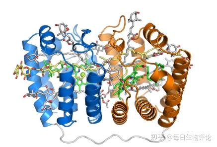 AAT-2559中英文说明丨PerCP蛋白介绍 - 知乎
