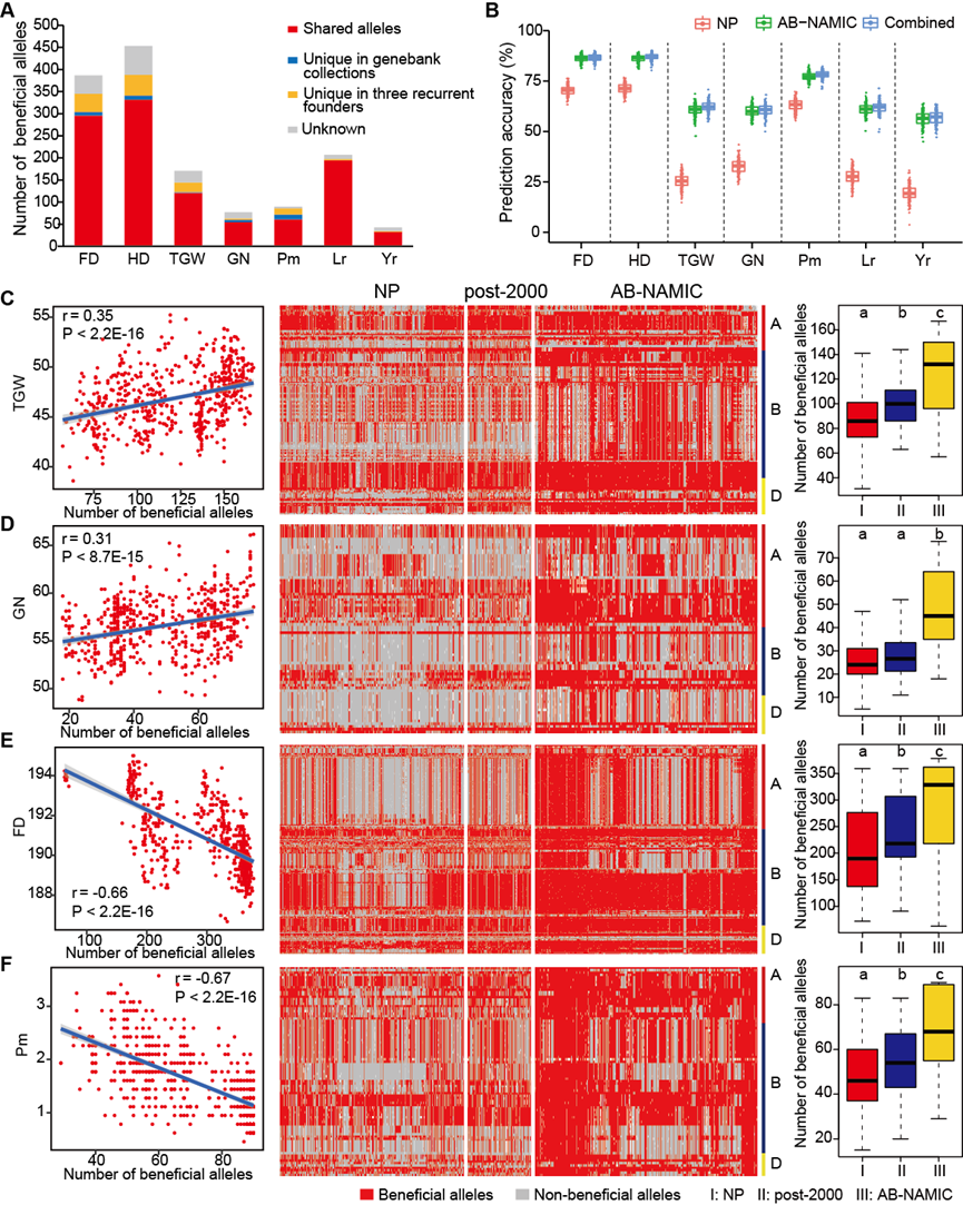 合作文章| 中国农科院作科所构建小麦AB-NAMIC群体为基因发掘与育种利用提供有力支撑 - 知乎