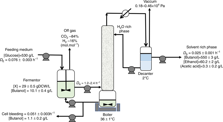 高丁无丙梭菌连续发酵工艺具有商用前景 - 知乎