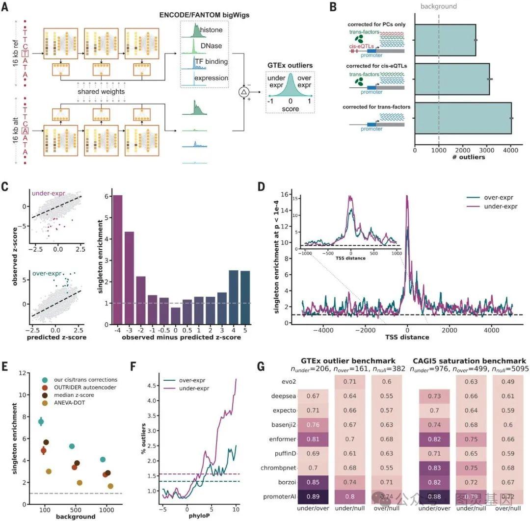 Science | 深度学习新突破！PromoterAI 精准捕捉启动子变异，为罕见病基因诊断添新力 - 知乎