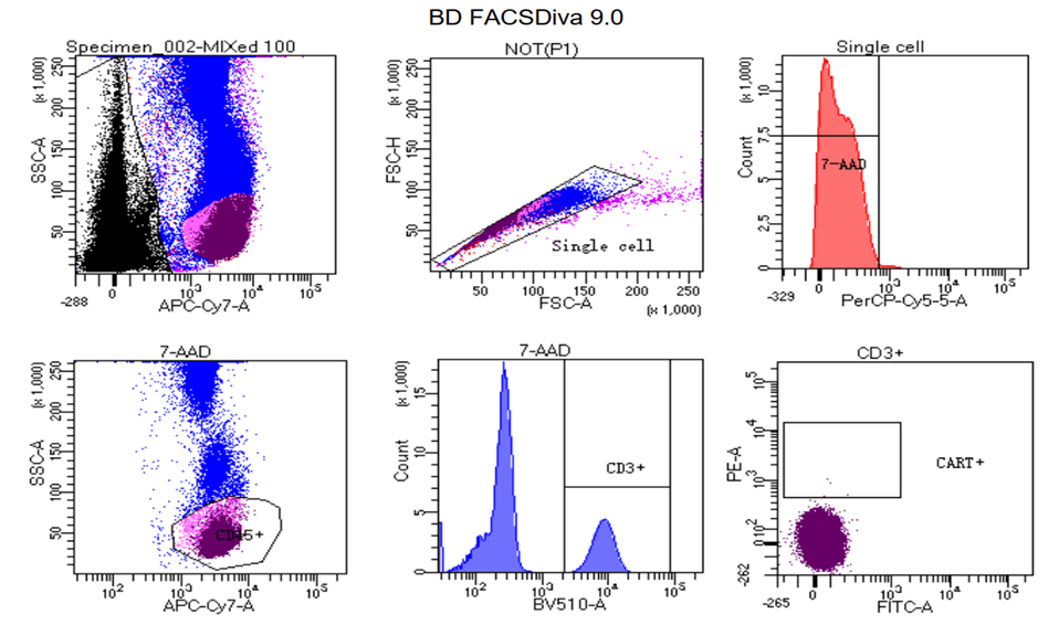 细胞治疗临床检测解决方案——PK/PD篇 - 知乎