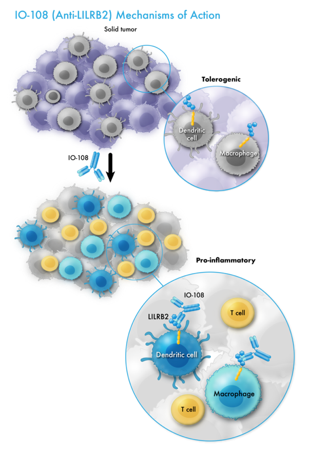 LILRB靶点研发：行而不辍，未来可期 - 知乎