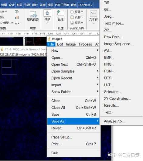 使用ImageJ读取oir文件，并导出Tiff文件方法 - 知乎