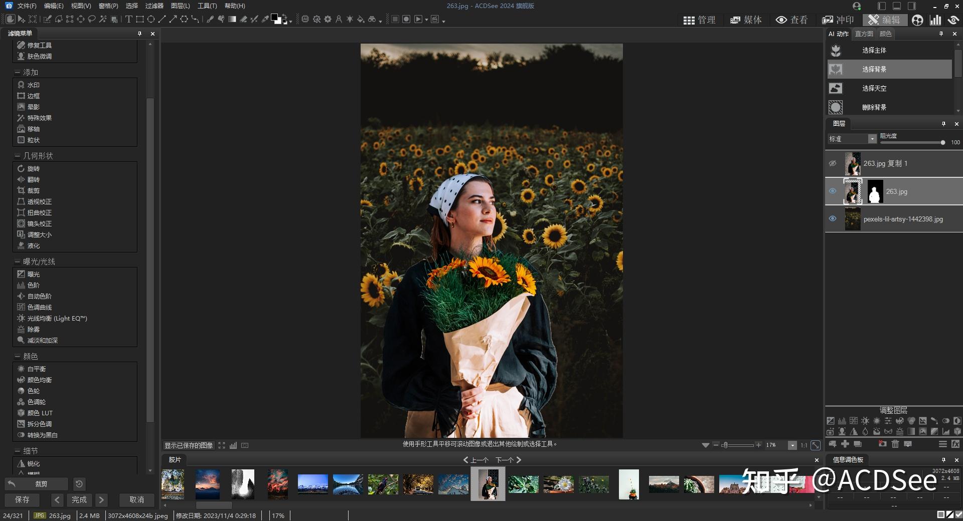 ACDSee 2024 发布！引入更多人工智能技术，图片管理和编辑更高效！ - 知乎