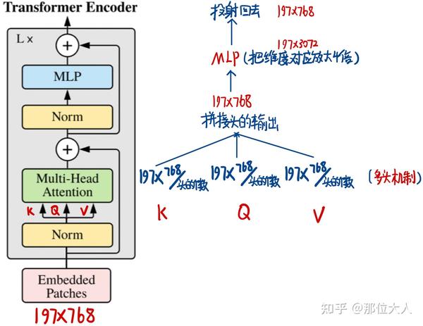 Vision Transformer精读笔记 - 知乎