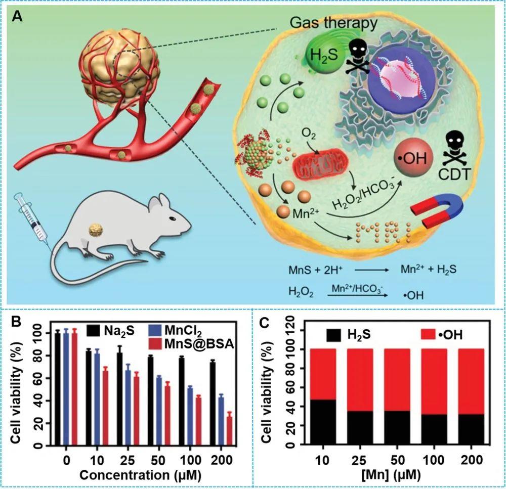 【Adv. Mater.】操纵肿瘤内芬顿化学以增强化学动力学和化学动力学协同多模式治疗 - 知乎