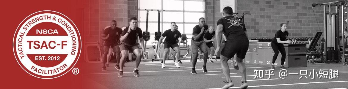 NSCA美国国家体能协会及旗下认证介绍 - 知乎