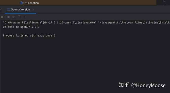 Java 程序打印 Opencv 的版本 知乎