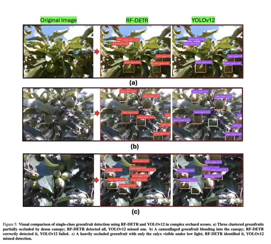 RF-DETR vs YOLOv12实测：复杂果园青果识别准确率高达94.6% - 知乎