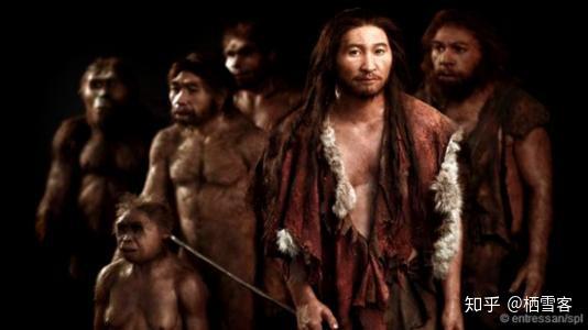 骑火球的超级小矮人——Nanoarchaeum equitans简介 - 知乎