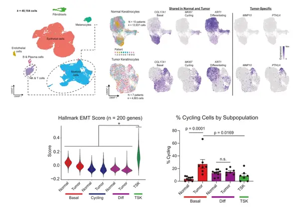 千呼万唤始出来-10x Visium 空间转录组文章正式上线 - 知乎