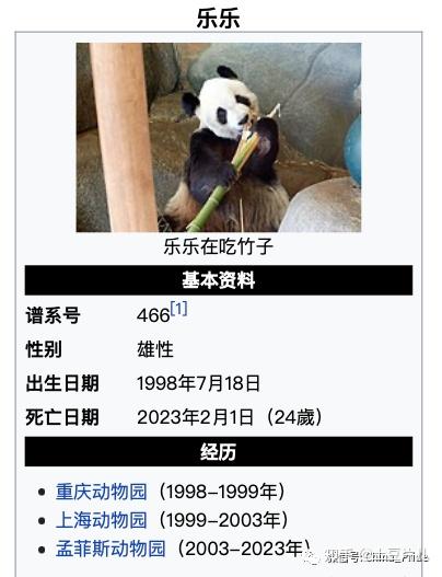 解密丫丫和乐乐基因之谜 知乎