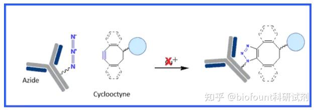 鉴颖恼荔舌肾彬（Click Chemistry） - 知乎